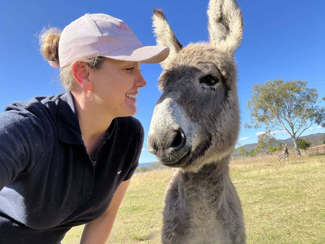 Who We Are | Maraboon Rural Veterinary Services