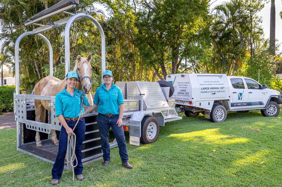 Gallery | Maraboon Rural Veterinary Services