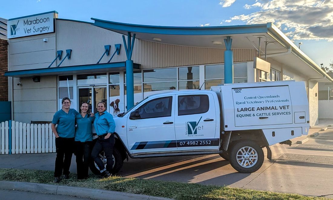Gallery | Maraboon Rural Veterinary Services