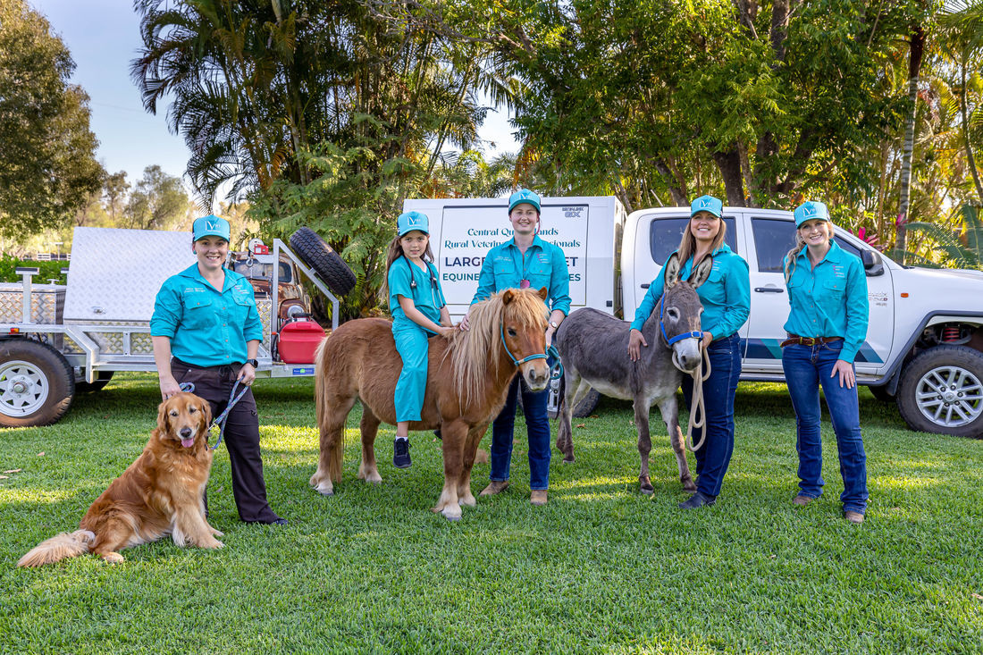 Gallery | Maraboon Rural Veterinary Services