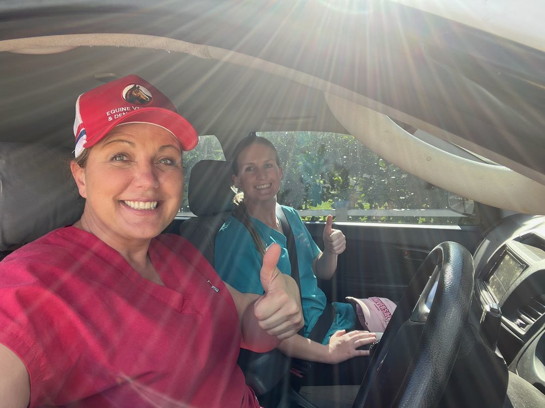 Gallery | Maraboon Rural Veterinary Services