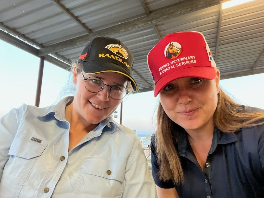 Gallery | Maraboon Rural Veterinary Services